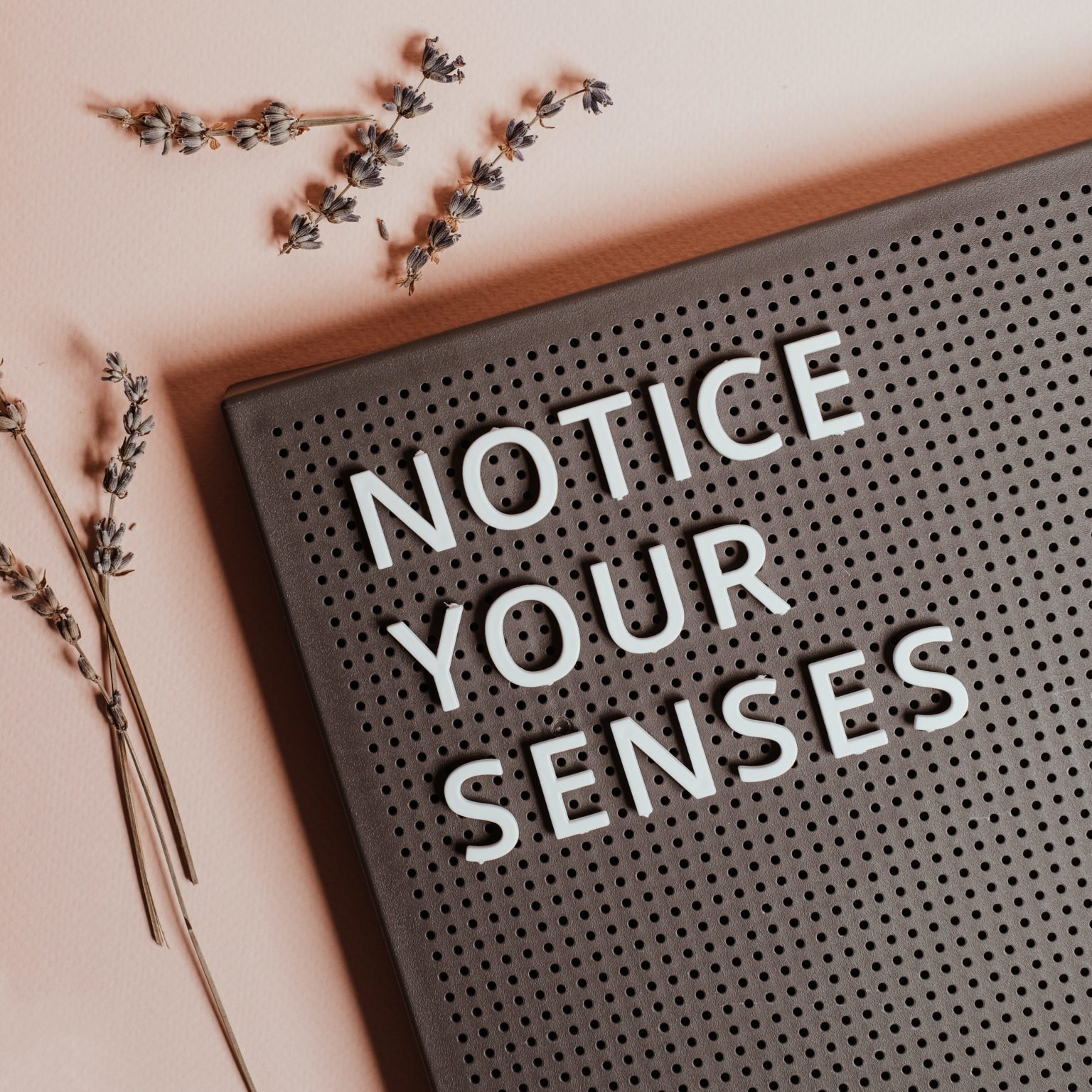 Online Recovery College Courses Archives - Wakefield Recovery and ...