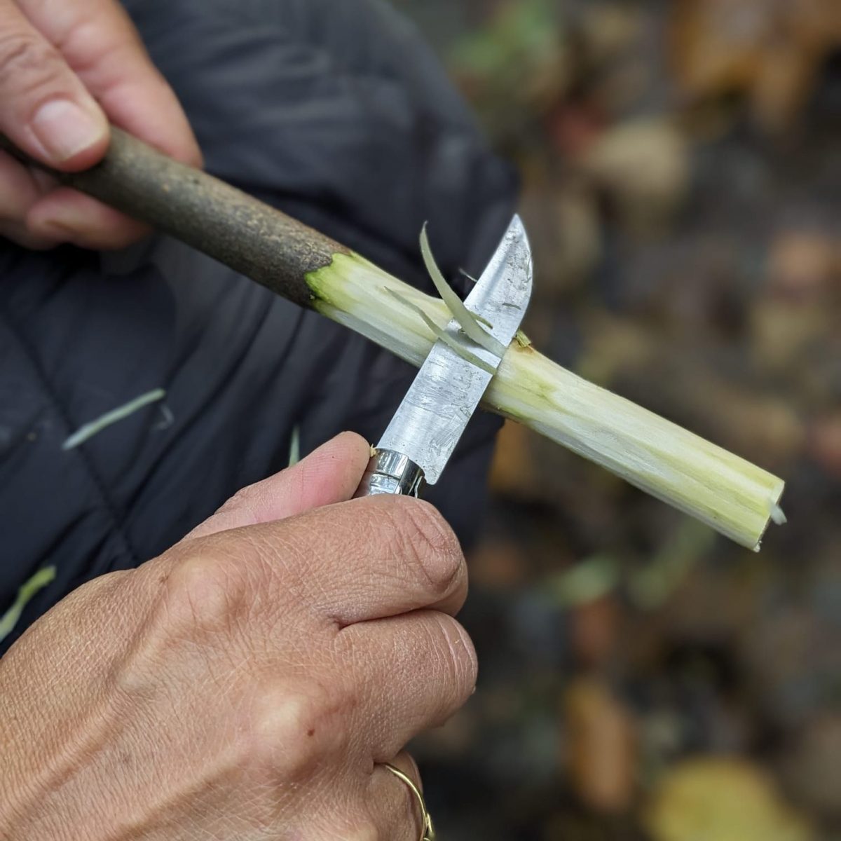 Introduction to Woodland Skills (18+) - Wakefield Recovery and ...